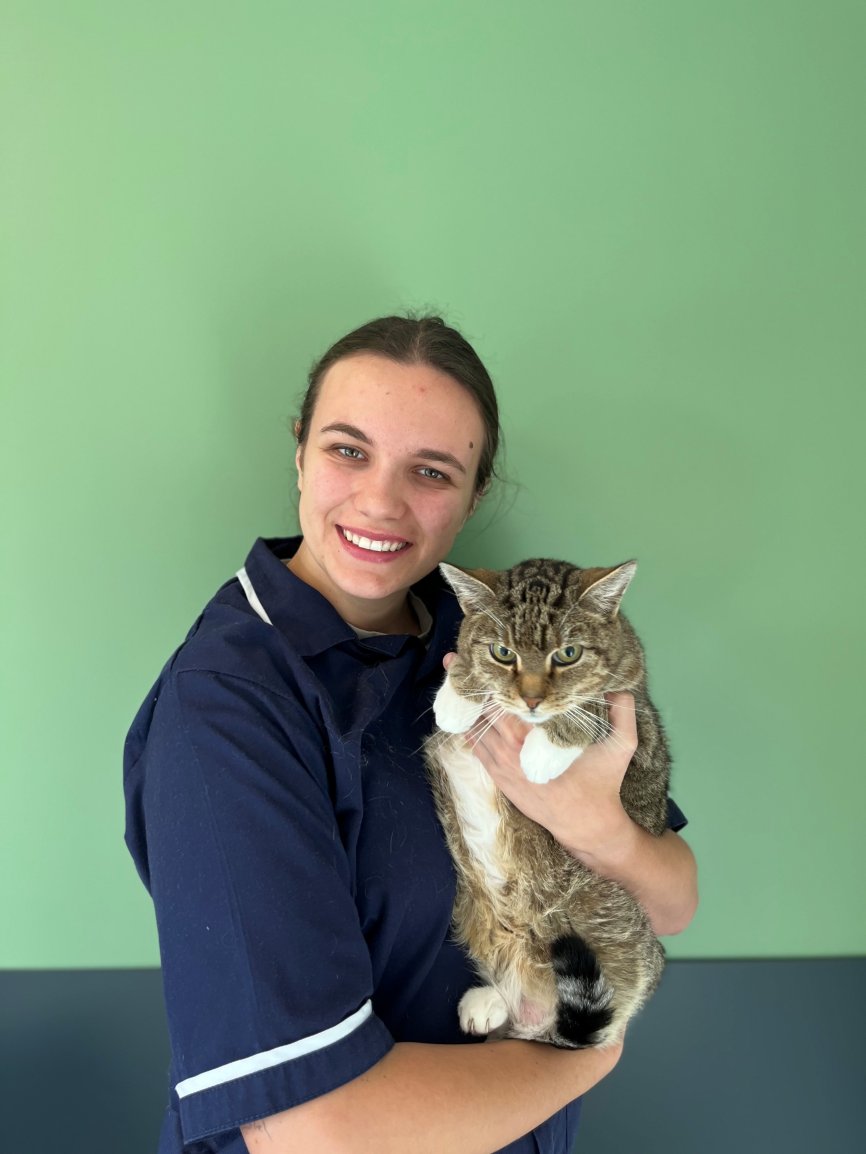 Over ons team | Het Spoor